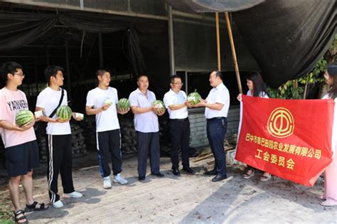 夏日送清凉 真情暖人心 巴中市产业发展集团有限公司