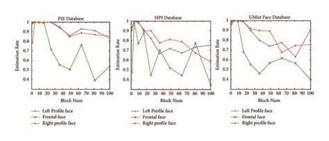 Performance Of Head Pose Estimation Under Different Block Sizes