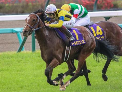【有馬記念】皐月賞馬ソールオリエンスと初タッグ 川田将雅騎手2週連続gi勝利狙う 競馬ニュース Netkeiba