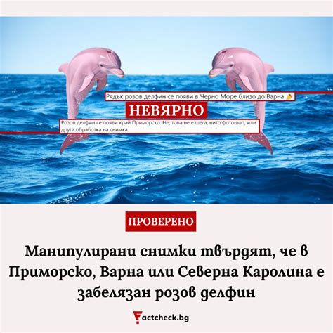 Factcheck Bulgaria On Linkedin 🐬 През последните дни социалните мрежи