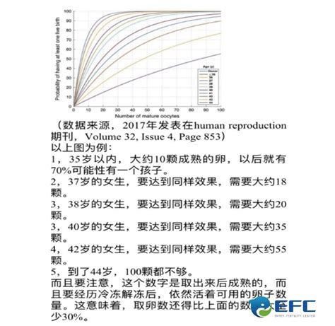 丁克女性美国冻卵
