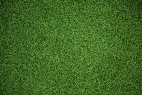 Turf