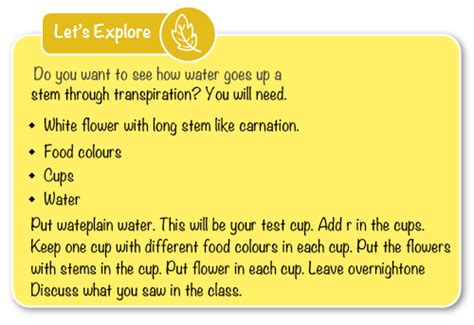 Importance Of Water To Animals And Plants