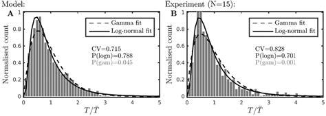 Statistics Of Dominance Durations A Histogram Of 1000 Durations From Download Scientific