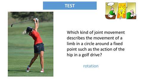 AQA GCSE PE The Skeletal System Inspire And Educate By Krazikas