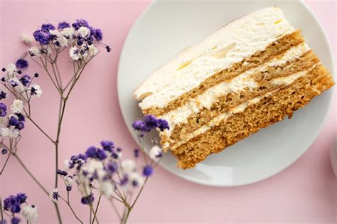 분홍색 파스텔 배경과 섬세한 석고 꽃 배너 및 텍스트 장소에 접시에 꿀 케이크 조각 0명에 대한 스톡 사진 및 기타 이미지 0명 꿀 노랑 Istock