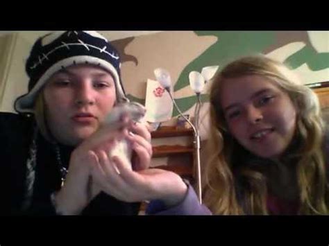 Hermaphrodite Hamster Youtube