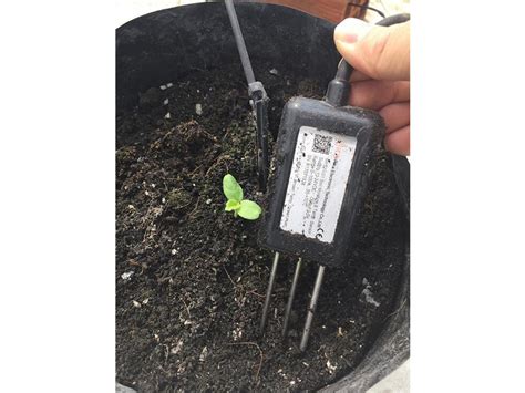 What Is Soil Humidity Sensor Rika Sensors