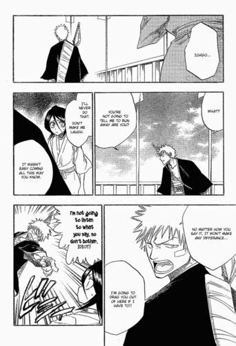 Ichigo And Rukia Sun And Moon Photo Ichirukia Love Ichigo And Rukia