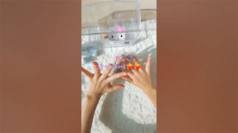 뽑기해서 나온 재료로만 포포하깅🩷🩷 알고리즘제발 재밌게봐주세요 포용계 포카포장 관리자님추천뜨게해주세요 Youtube