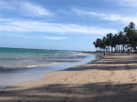 Praia Dos Carneiros O Que Fazer Viagem Em Detalhes