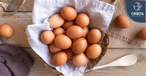 Día Mundial Del Huevo Cinco Razones Para Incluirlo En La Dieta Diaria
