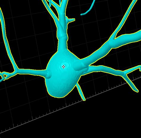 Automate Your Neuron Tracing Image Analysis Workflows