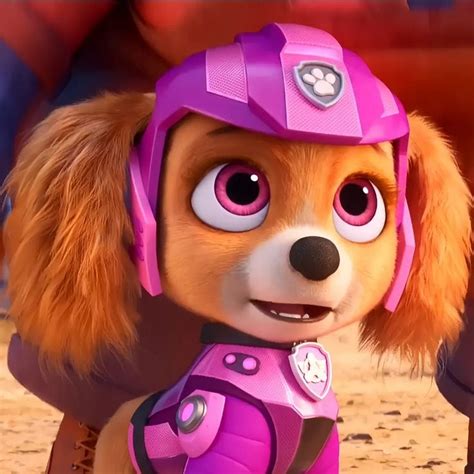 ¿qué Raza Es Skye De Paw Patrol 7 Imágenes Que Te Lo Dejan Muy Claro