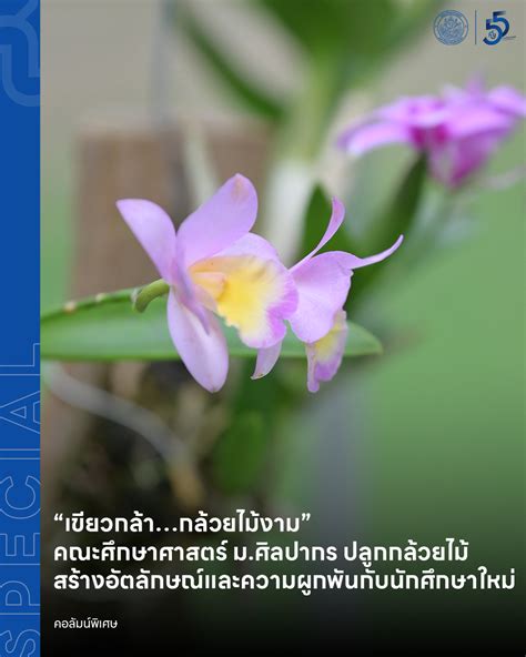 คอลัมน์พิเศษ คณะศึกษาศาสตร์ มหาวิทยาลัยศิลปากร Facebook