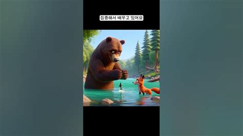 원다라 컴퍼니 곰과 여우ㅣ어린이동화ㅣ유아동화ㅣ교훈동화ㅣ감성동화 Youtube