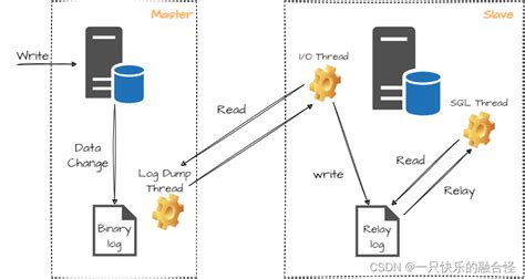 使用docker搭建mysql主从数据库docker 搭建mysql数据库 Csdn博客