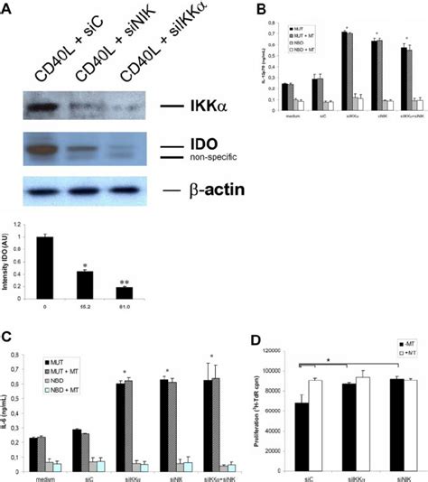 Essential Requirement Of The Noncanonical Nf ␬ B Pathway For