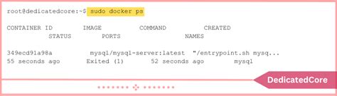 How To Update Docker Image And Container Guidelines