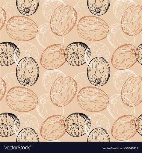 Nutmeg Sketch Seamless Pattern Engraved Royalty Free Vector
