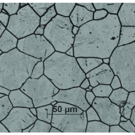 The Microstructure Of 321 Austenitic Stainless Steel Download Scientific Diagram