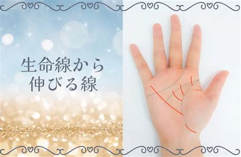 手相の生命線から伸びる線はどんな意味？ ひつじの手相占い
