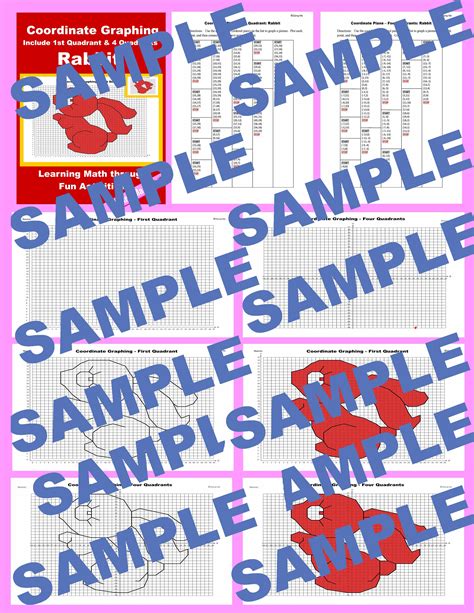 Chinese New Year Coordinate Plane Graphing Picture Zodiac Rabbit