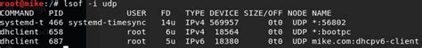 How To Check For Open Ports In Linux Linux Maker Pro