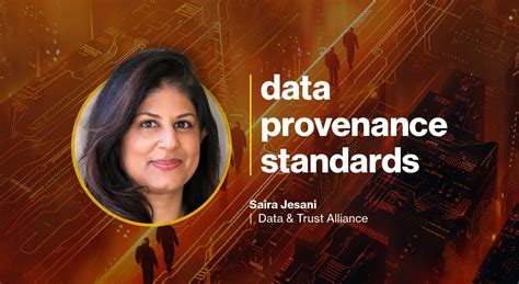 cross industry standards for data provenance in ai vumetric cyber portal