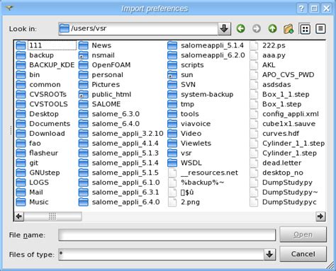 Salome Gui Users Guide Setting Preferences