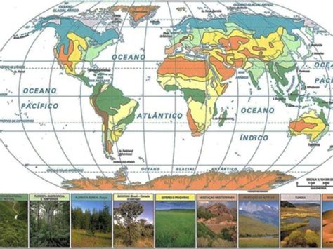 O Clima E As Formações Vegetais Do Planeta Cristiane Silveira Quizur