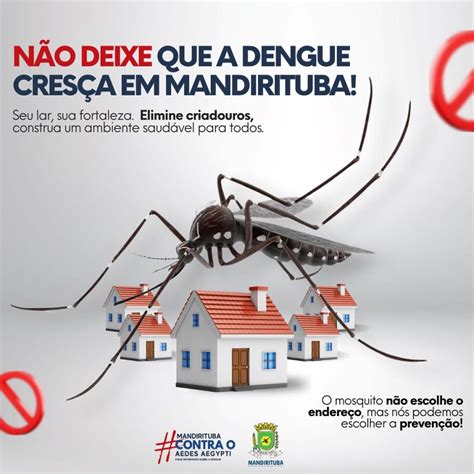 NÃO DEIXE QUE A DENGUE CRESÇA EM MANDIRITUBA Prefeitura de Mandirituba
