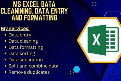 Do Excel Data Cleaning Formatting Organize Merge Or Split Excel And Csv Files By Sandygs09