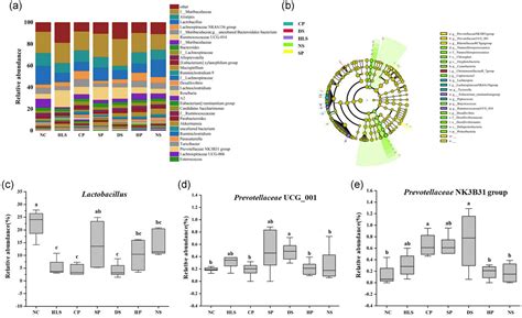 Evaluation Of Microalgae On Preventing Bone Loss In C57bl 6j Mice