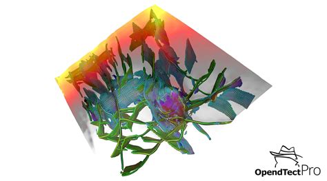 OpendTect Pro DCOdes