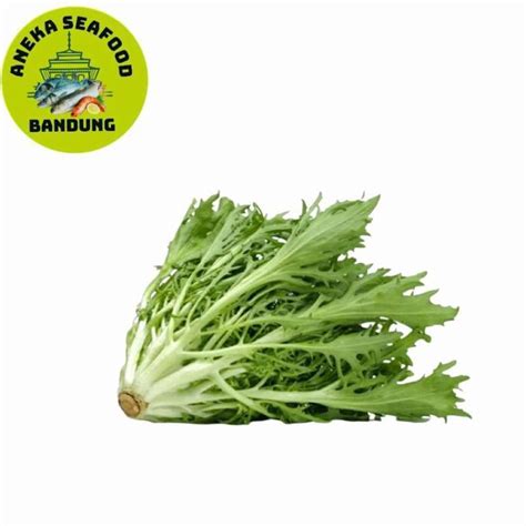 Jual Endive Segar Sayuran Endive 250gr Di Seller Aneka Seafood