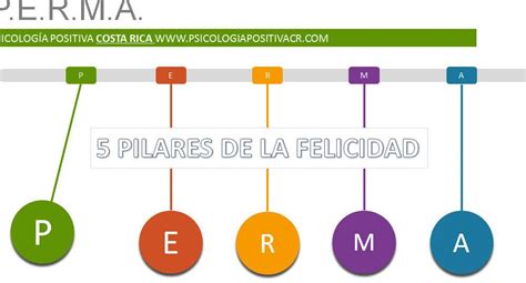 Cuáles Son Los 5 Pilares De La Felicidad Psicología Positiva