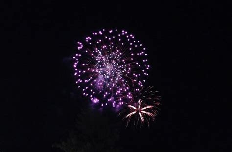 Purple Explosion Photograph By Amy Szczepanski Fine Art America