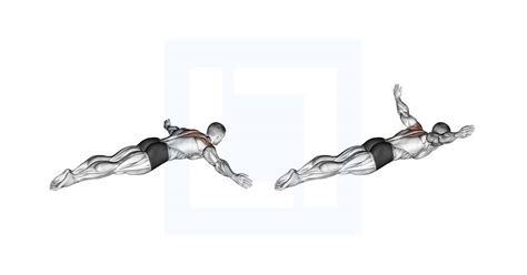 Dumbbell Standing Overhead Press Guide Benefits And Form