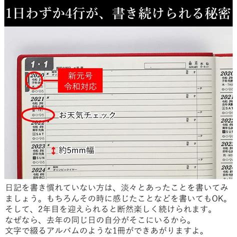 石原出版社 2020 2029年 石原10年日記 B5 ブラウンワインレッド N102001n102002 （日記帳ダイアリーロング