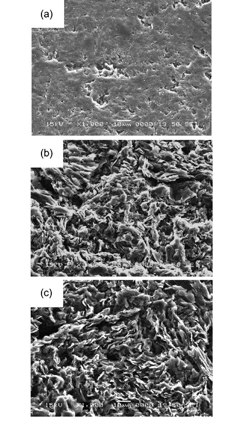 sem micrographs ×1000 showing the variations in surface structures of