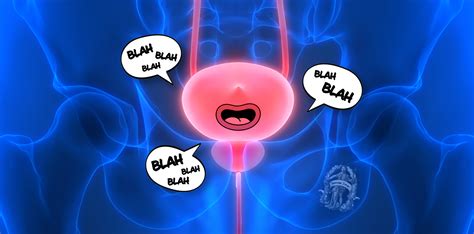 Oh The Woes Of An Irritable Bladder In A Modern Healthcare System