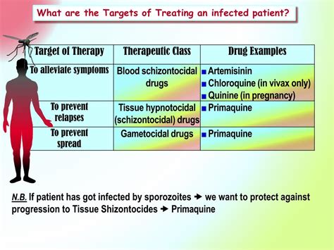 Ppt Antimalarial Drugs Powerpoint Presentation Free Download Id