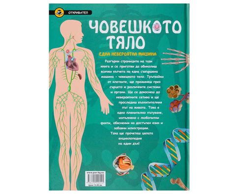 Откривател Човешкото тяло КОМСЕД