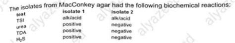 BOC 6e Microbiology 3 Gram Negative Bacilli Flashcards Quizlet