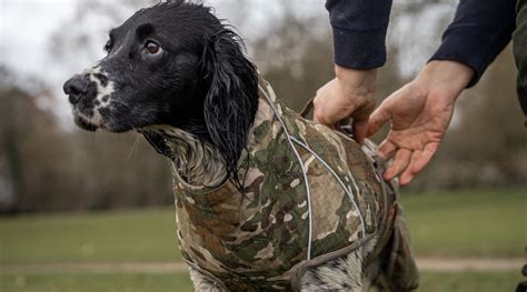 German Shorthaired Pointer Hunting Vest