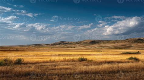 Eastern European Plains With Eastern European Plains With Rolling