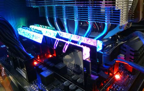 Sale Royal Ram Rgb In Stock
