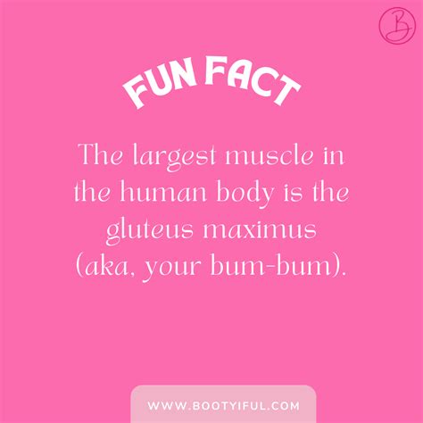 What Is A Postpartum Umbilical Hernia Artofit