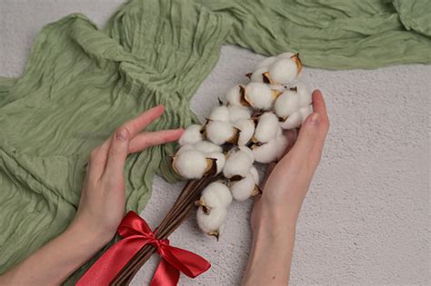 여자의 손은 흰색 질감의 배경에 빨간 실크 활과 함께 면화 꽃차례 식물의 가지를 만지고 있습니다 녹색 천 봄 3월 8일 여성의 날 기념 행사 International